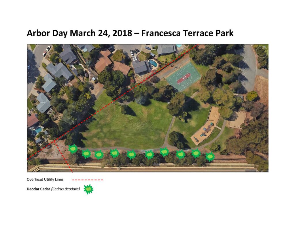 Arbor Day Tree Planting – Francesca Terrace Park – Benicia Tree Foundation