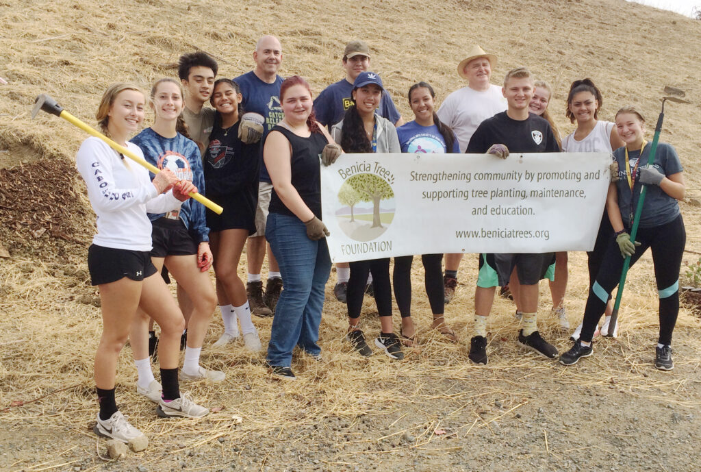 BTF Exploring Partnership with Sustainable Solano – Benicia Tree Foundation