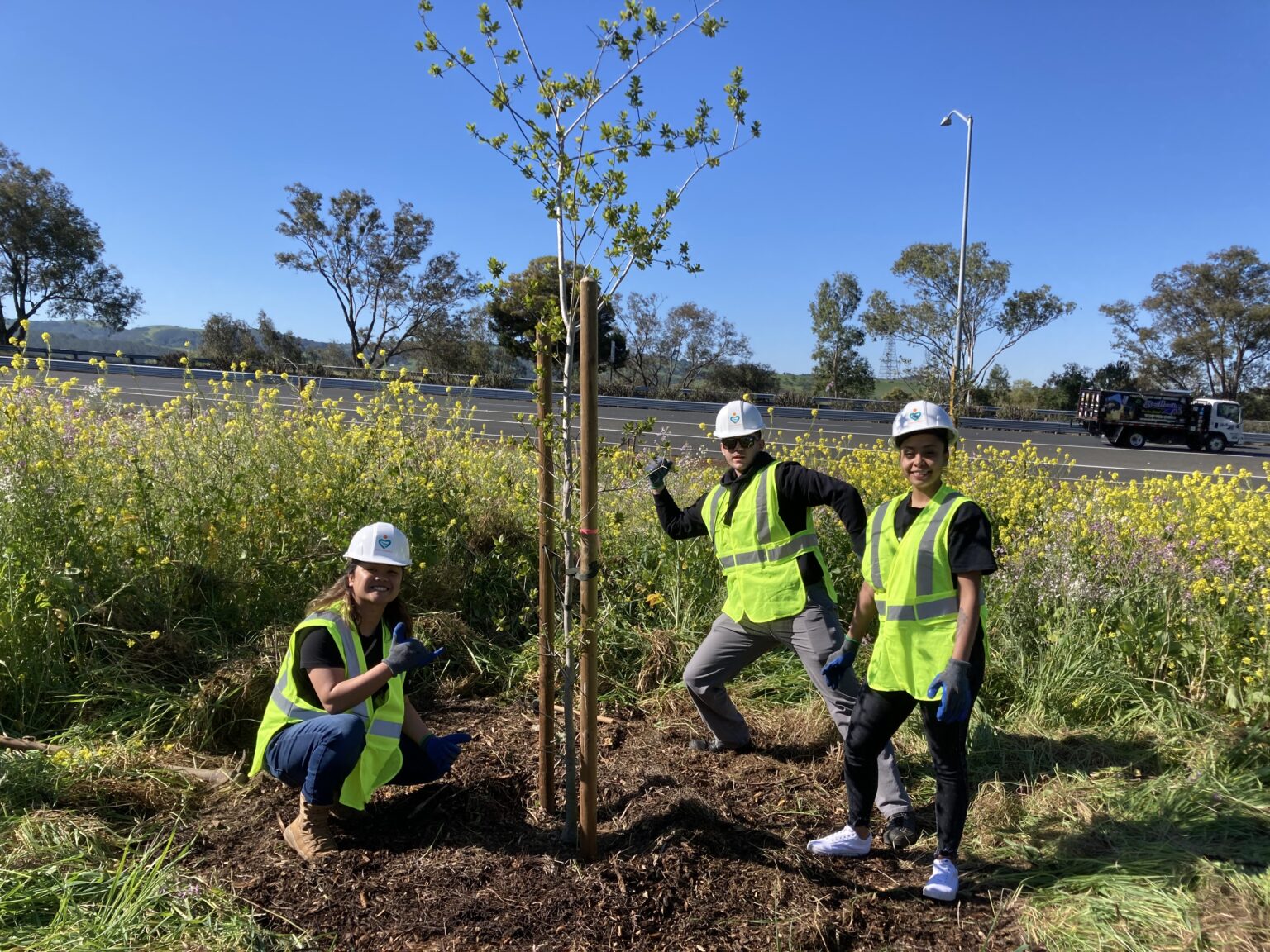 Benicia Tree Foundation