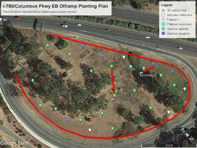Freeway Tree Planting for Earth Day – Benicia Tree Foundation
