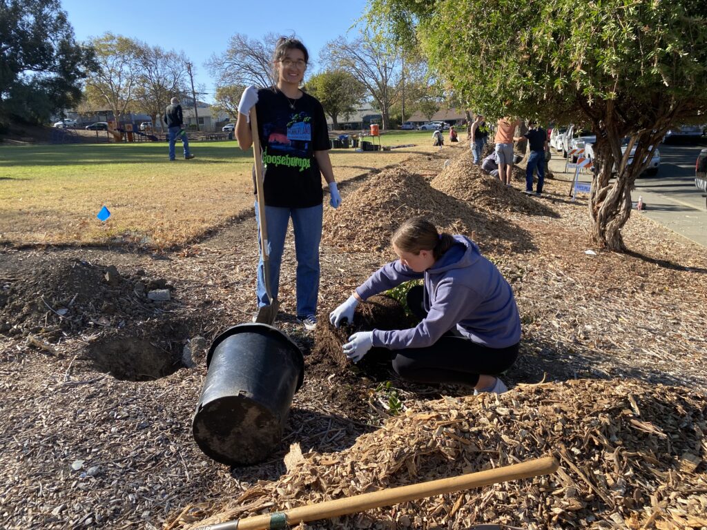 New Trees for Duncan Graham Park on Arbor Day – Benicia Tree Foundation