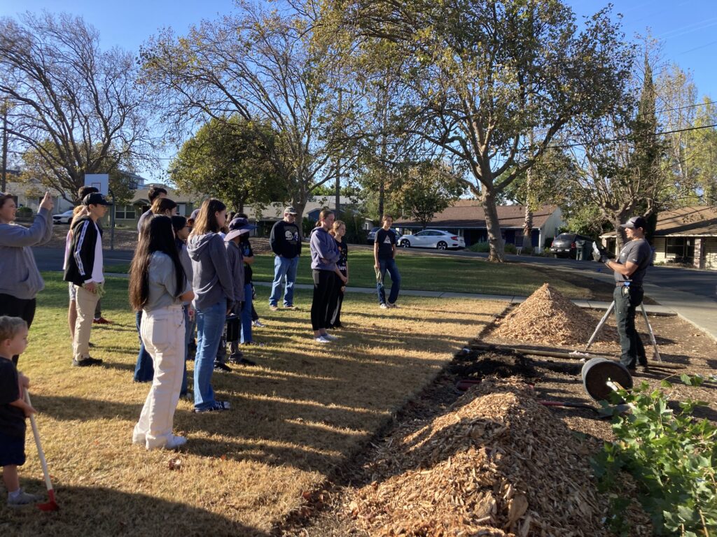 New Trees for Duncan Graham Park on Arbor Day – Benicia Tree Foundation
