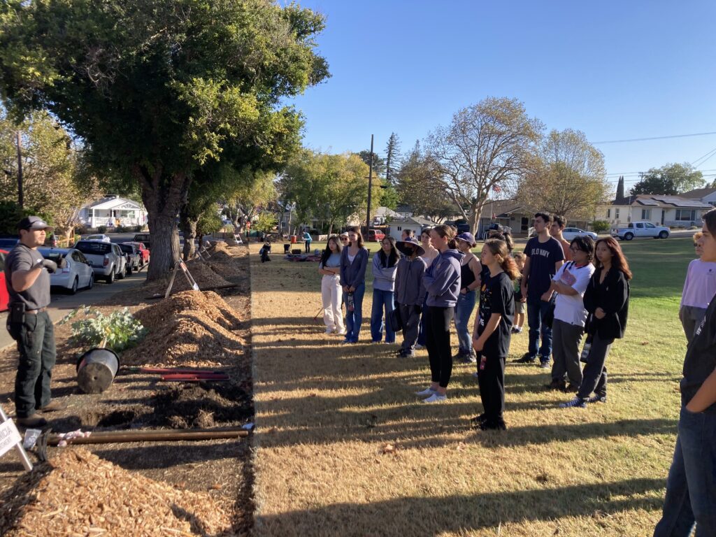 New Trees for Duncan Graham Park on Arbor Day – Benicia Tree Foundation