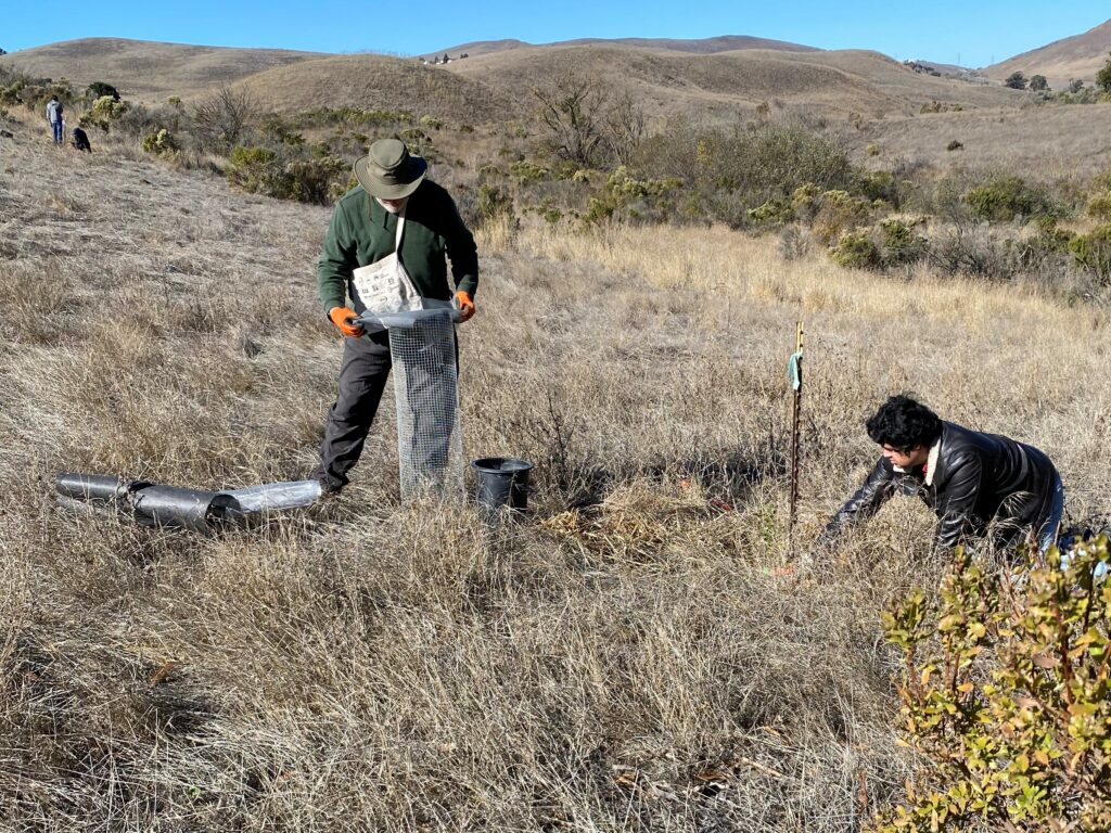 Lake Herman Open Space Progress Report – Benicia Tree Foundation