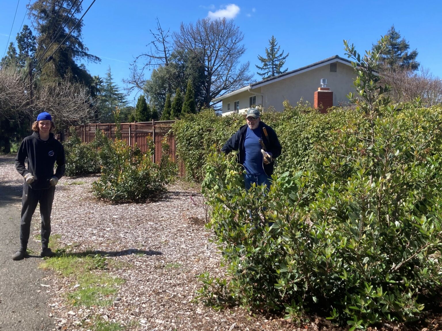 April Fools Tree Care Day at Benicia Armory – Benicia Tree Foundation