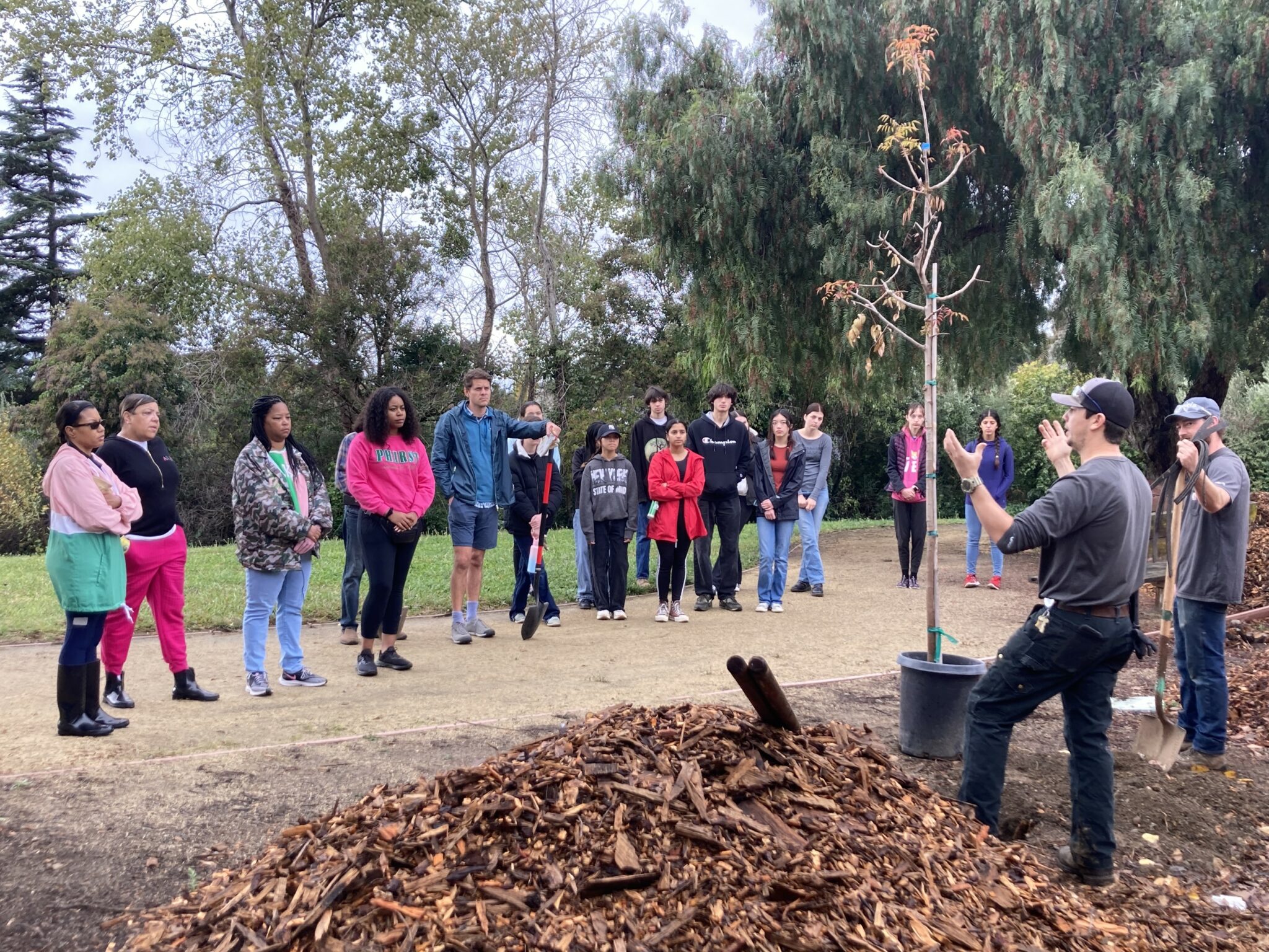 We Dared the Rain for Arbor Day 2023 – Benicia Tree Foundation