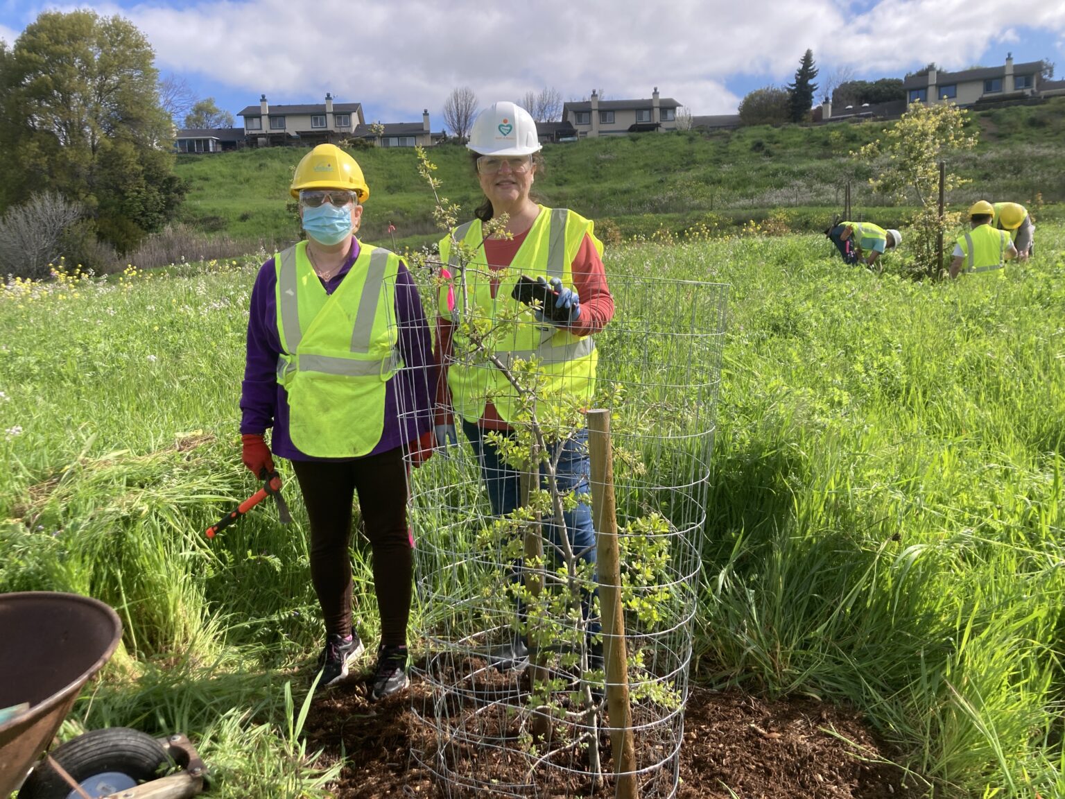 Arc-Solano Helps Maintain Freeway Trees – Benicia Tree Foundation