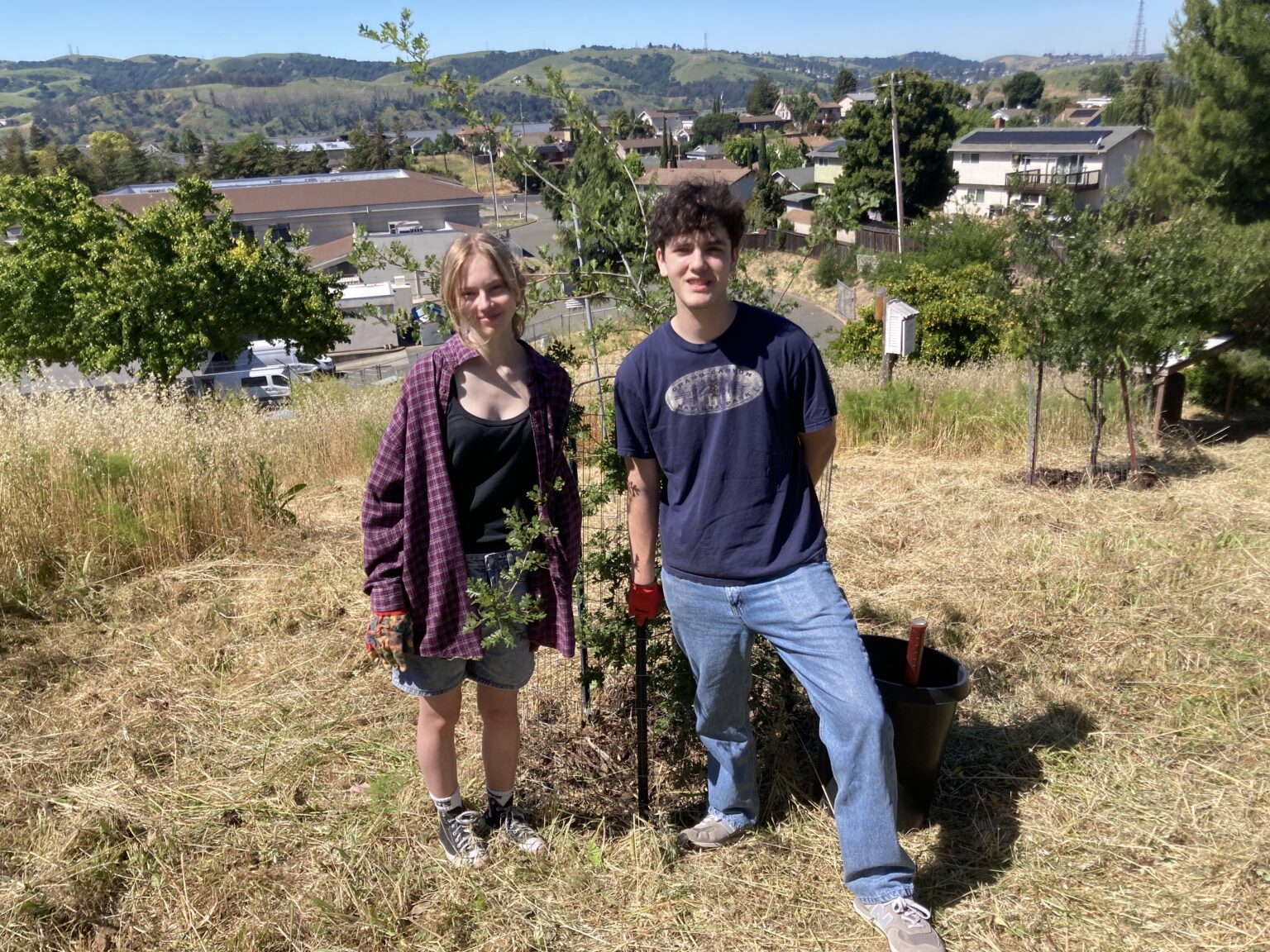 Tree Care Day at Benicia High School – Benicia Tree Foundation