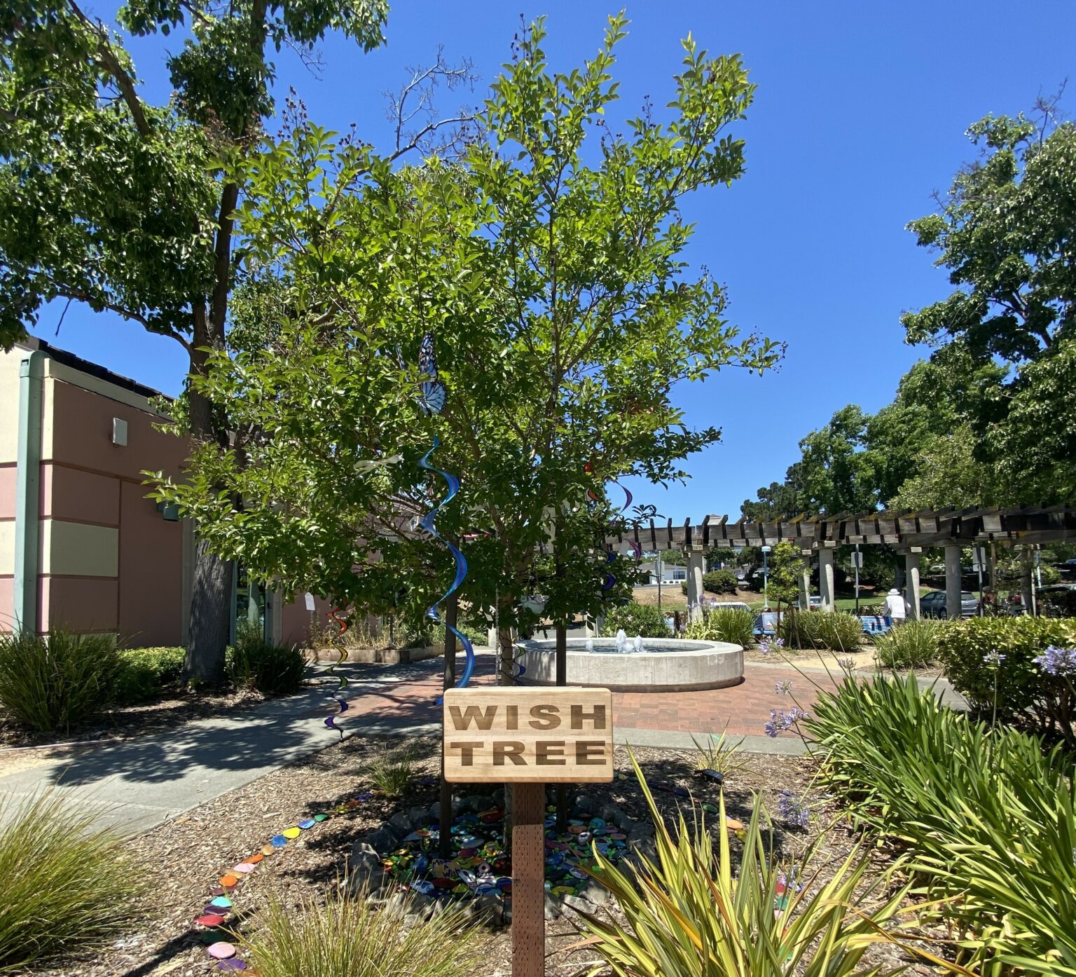 Benicia Tree Foundation