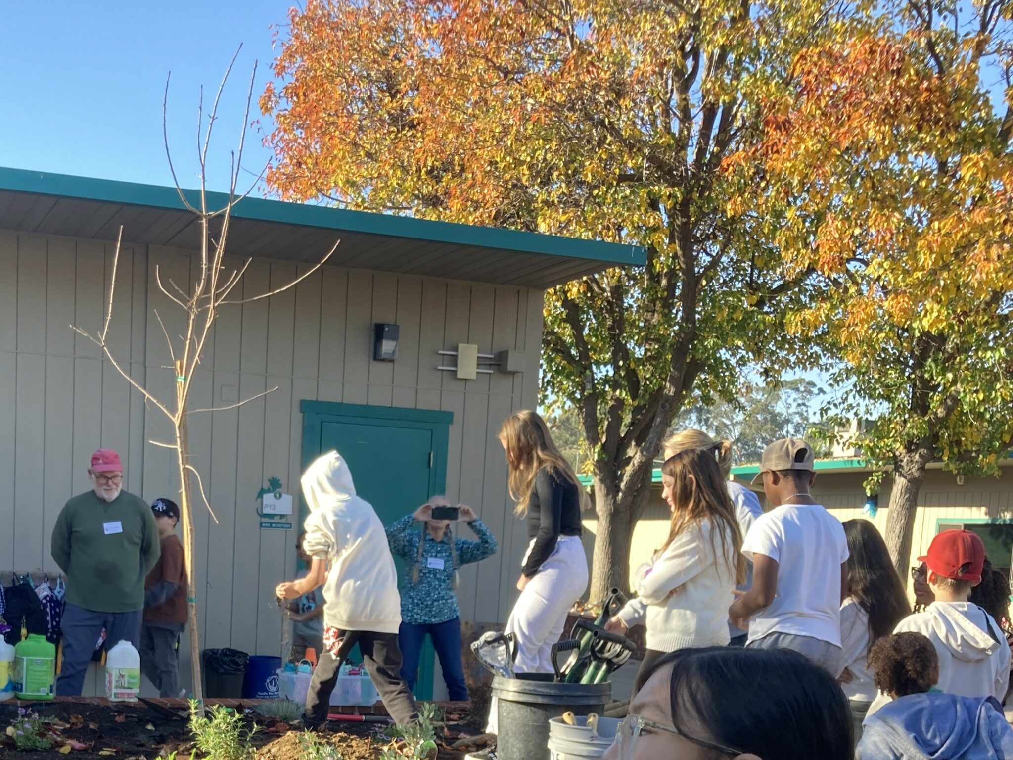 Legacy Tree for Semple Elementary School – Benicia Tree Foundation