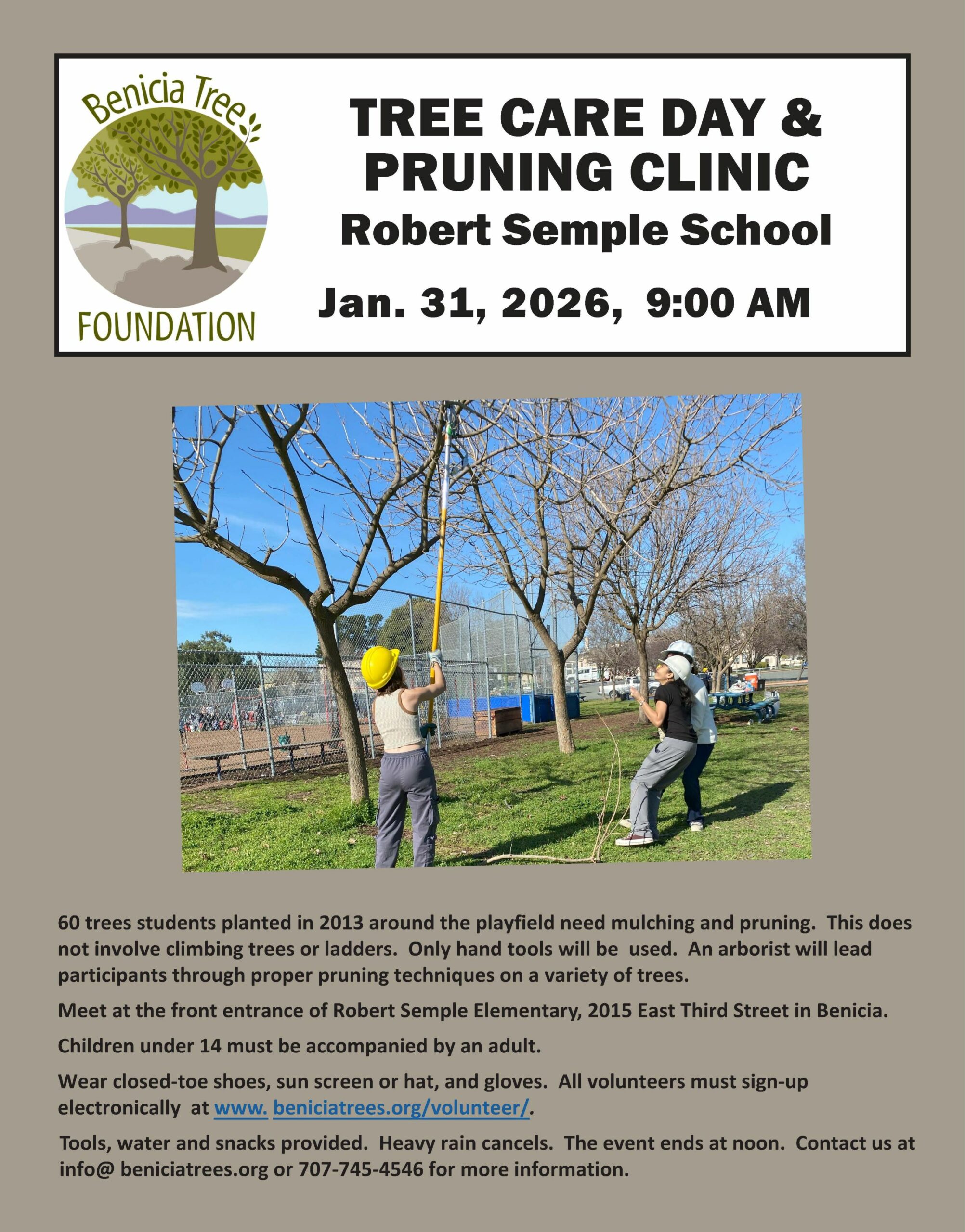 Tree Care Day & Pruning Clinic Scheduled – Benicia Tree Foundation